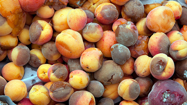 Food Industry Is Losing $15 Billion Annually on Unsaleable Products | Material Handling and ...