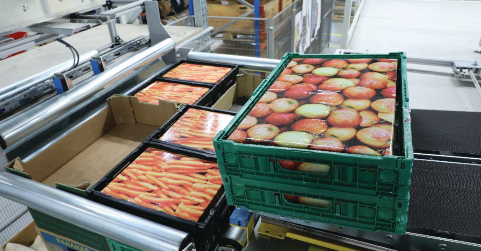 Case Picking for Produce Companies | Material Handling and Logistics